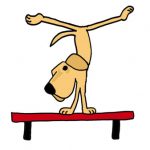 dog gymnast | All Around Gymnastics Academy